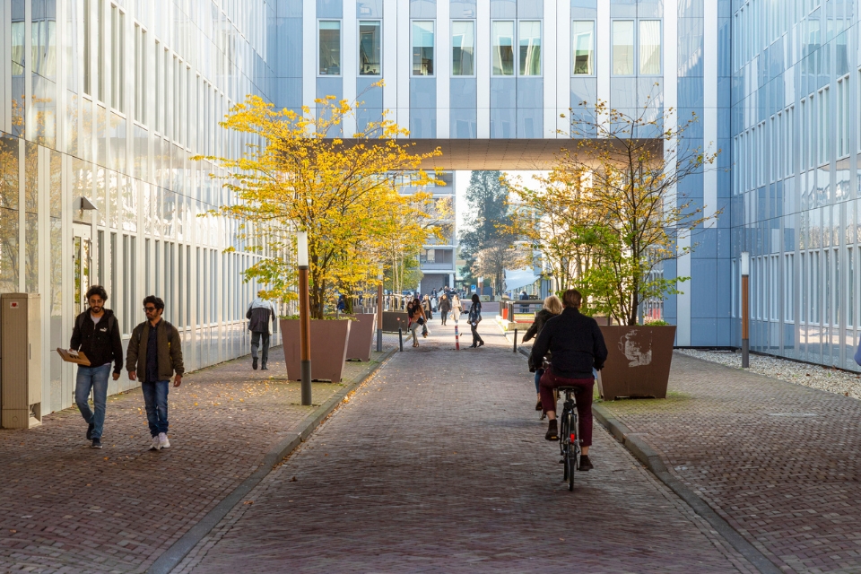 Dutch Universities See 5% Drop in International Students